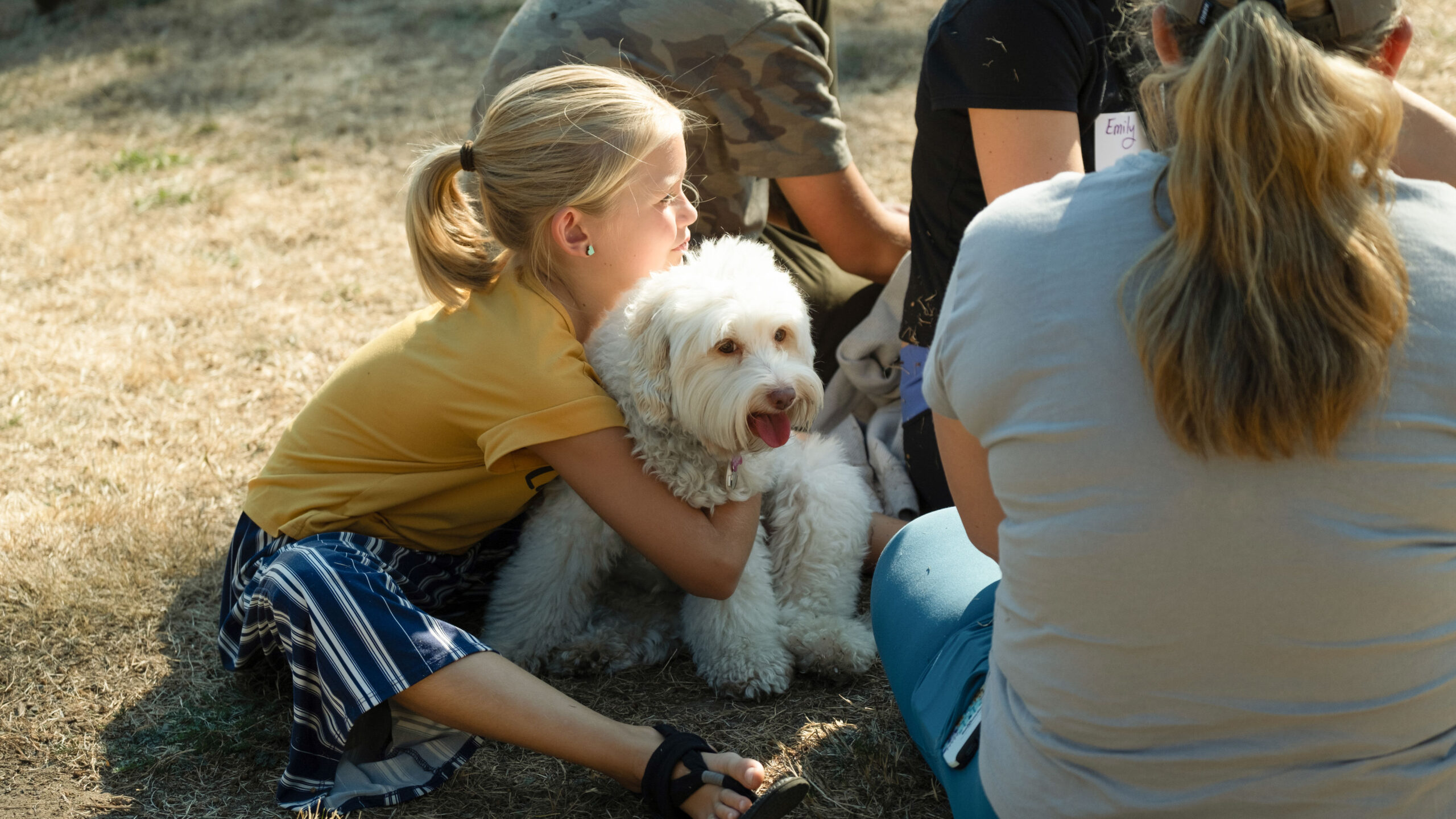 2022 Labradoodle family reunion: Over 60 dogs and a hundred families ...