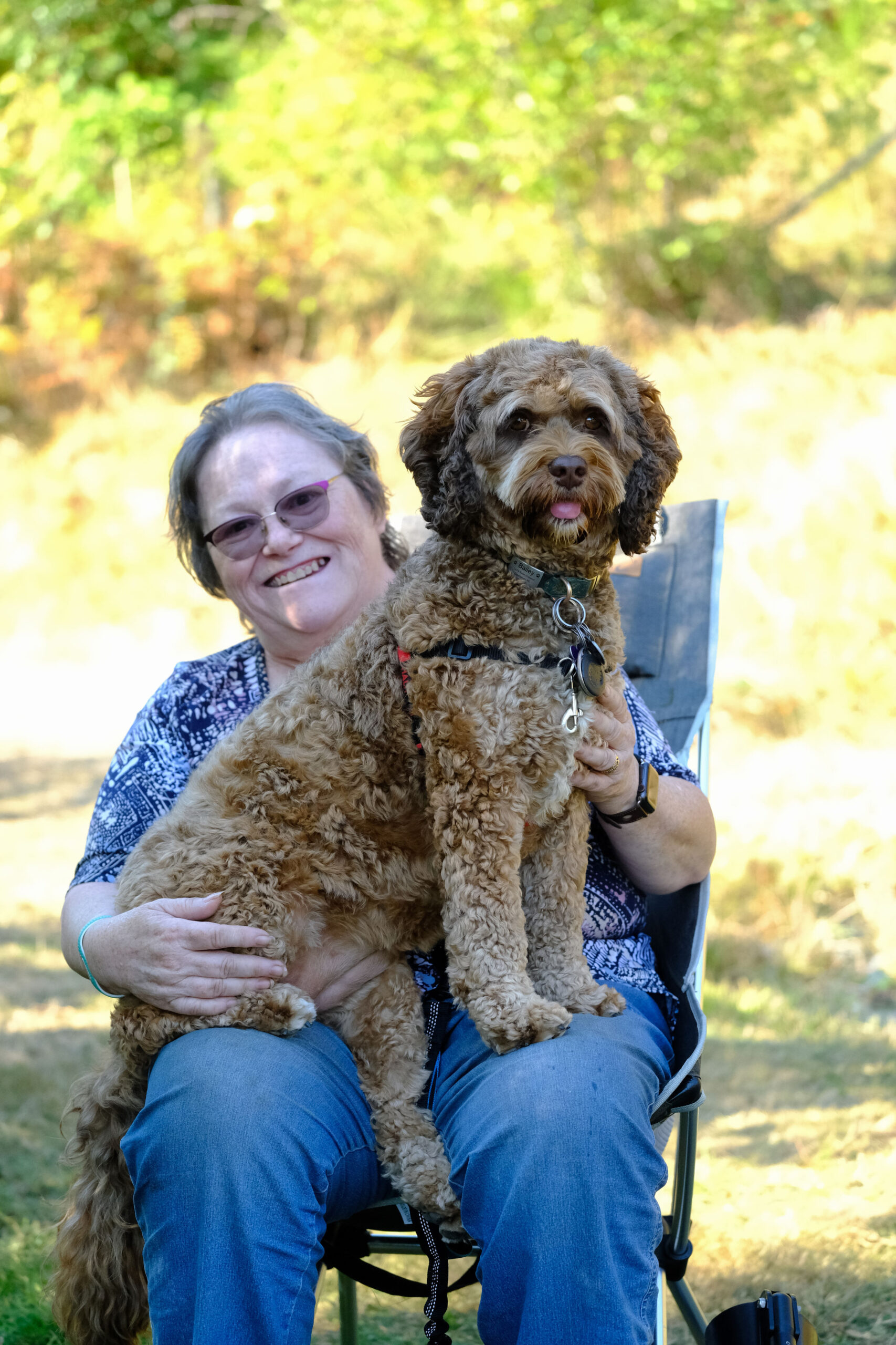 2022 Labradoodle family reunion: Over 60 dogs and a hundred families ...
