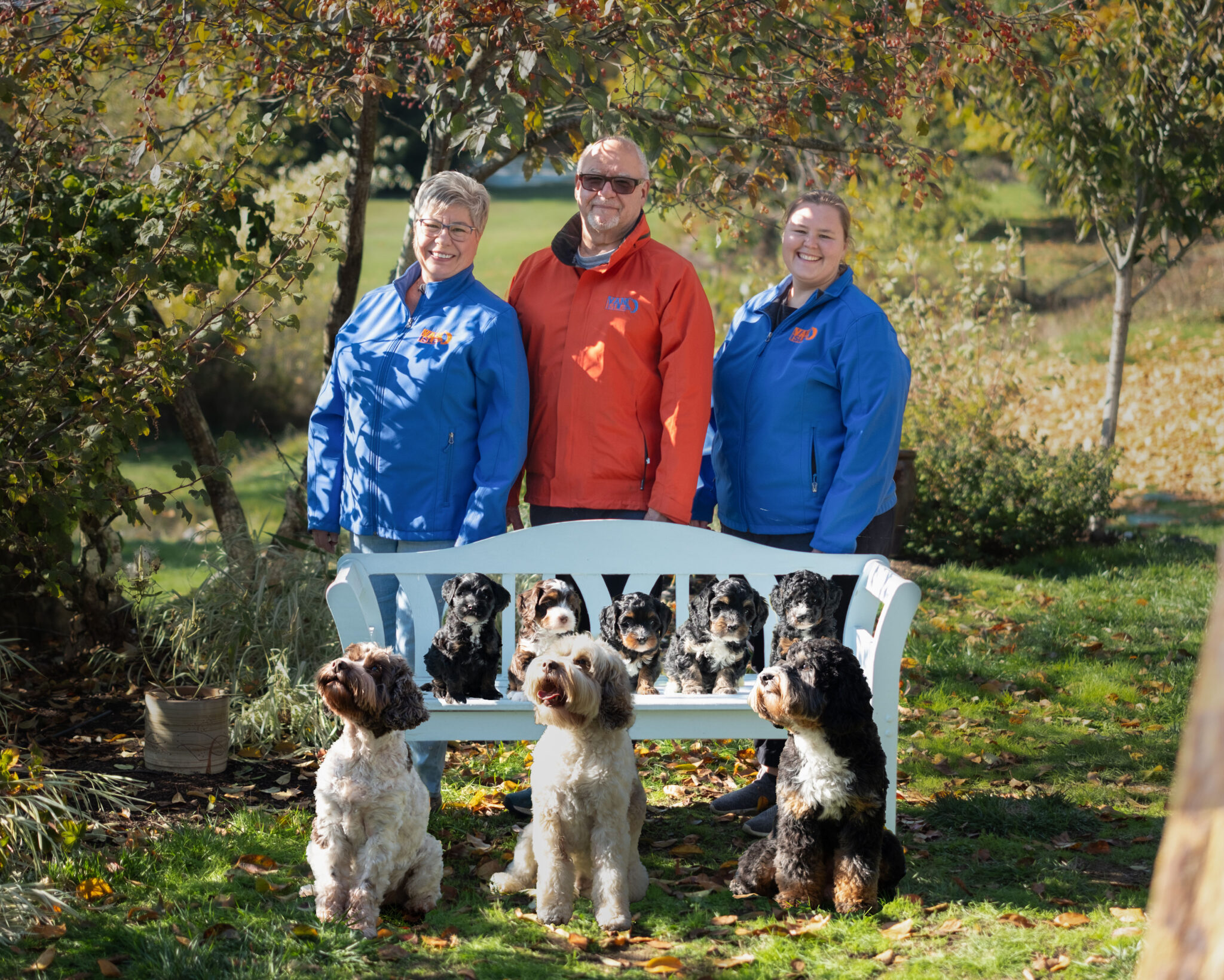 Van Isle Labradoodles – Registered Multigen Australian Labradoodles